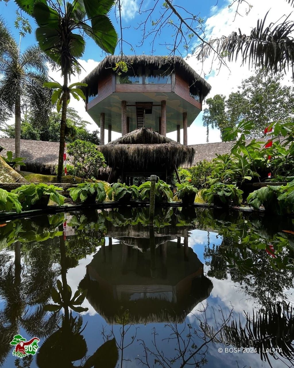 Samboja Lodge: Petualangan di Hutan Kalimantan yang Mendukung ...
